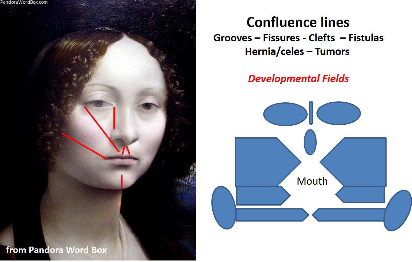 Lips and Philtrum – Clinical Eye Openers